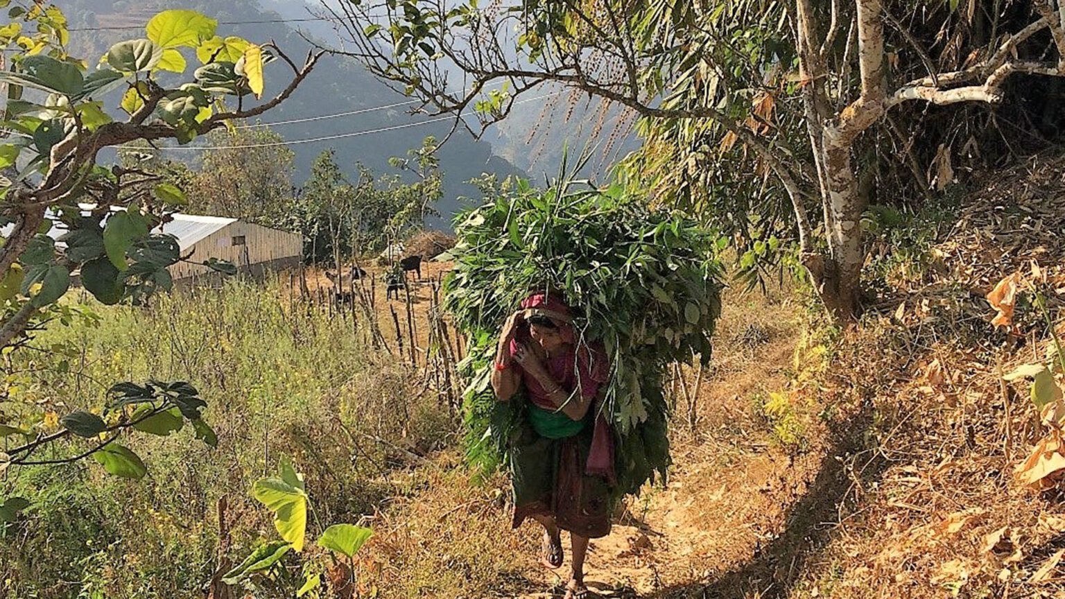Successful intervention pathways for migration as adaptation (SUCCESS ...