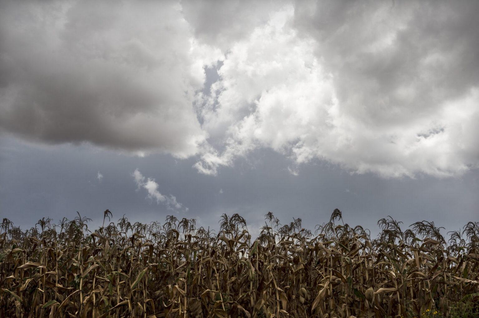 A pan-African and transdisciplinary perspective on people living on the ...