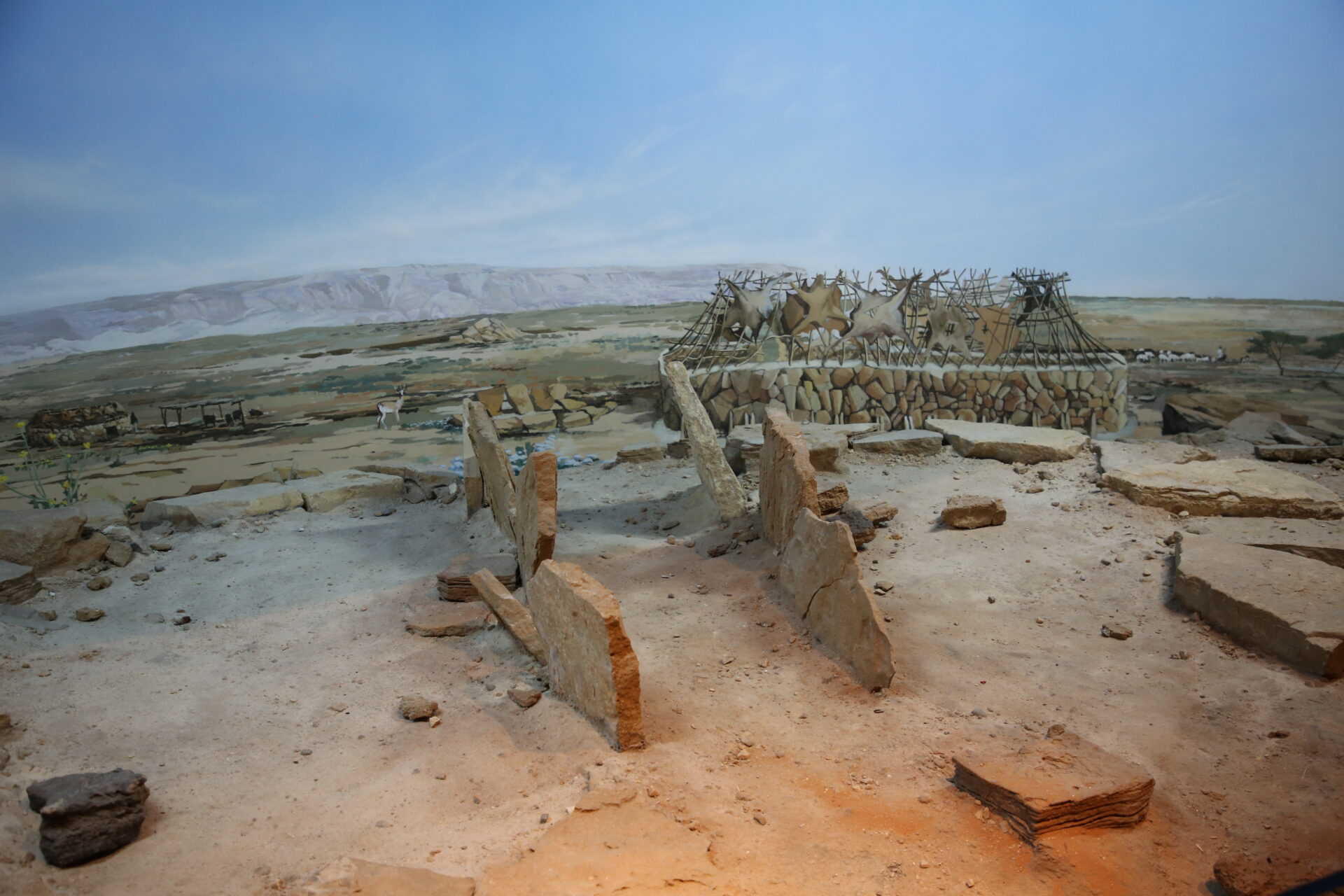 Saudi Arabia | CLARE - CLimate Adaptation & REsilience
